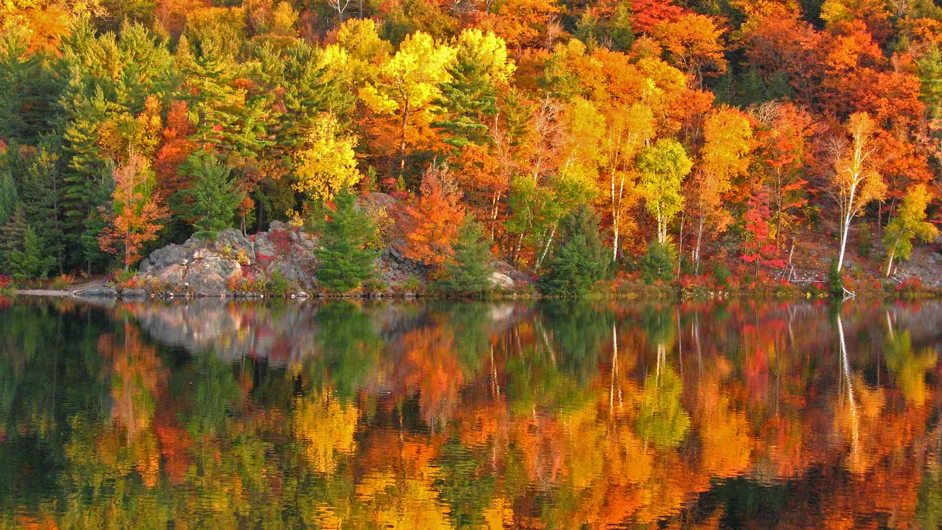 October Morning Bing Wallpaper Download October Morning Bing Wallpaper Download