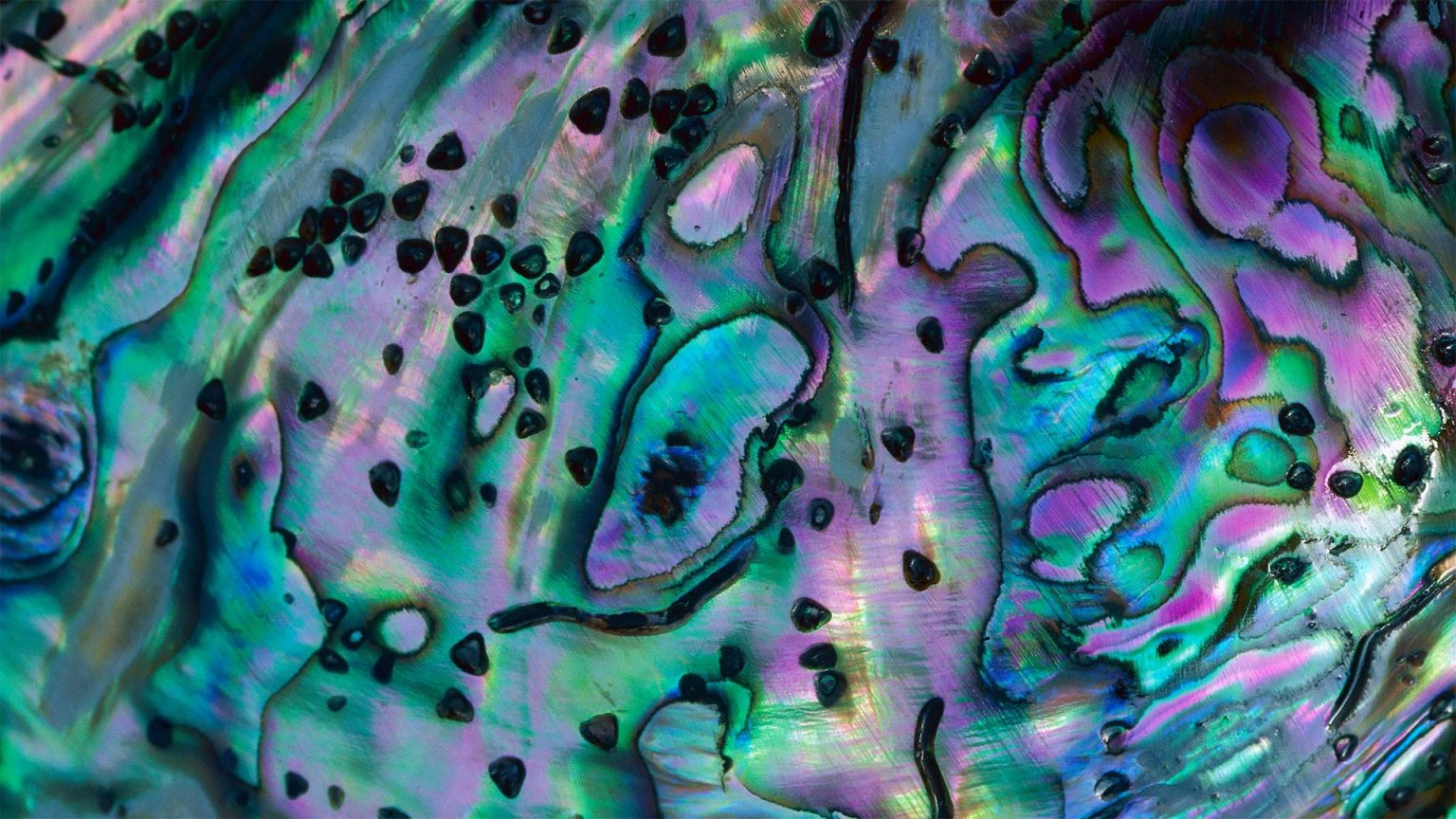 Random Bing Wallpapers – Page 2 – Bing Wallpaper Download