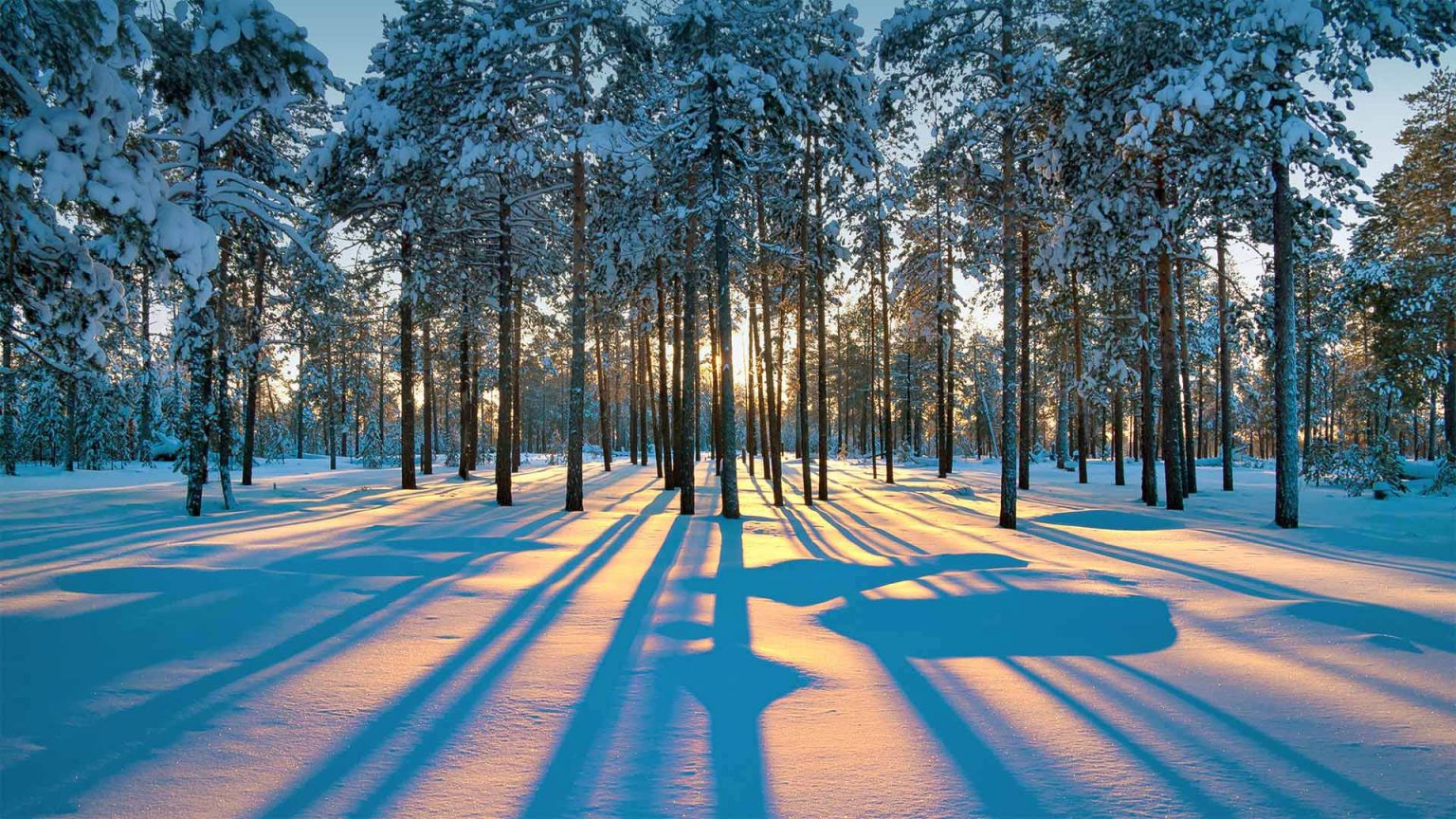 Russia – Bing Wallpaper Download
