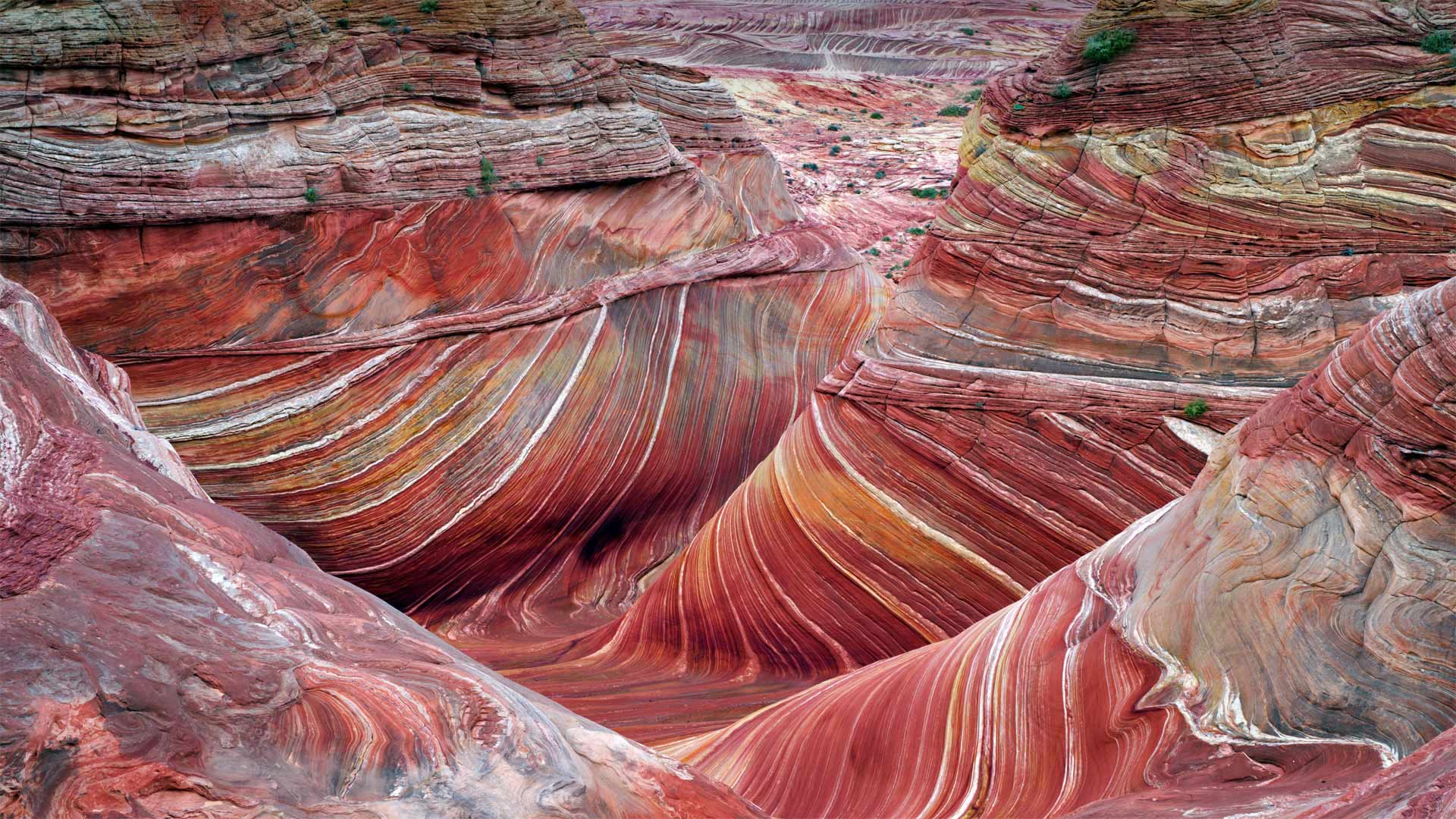Coyote Buttes Bing Wallpaper Download Coyote Buttes Bing Wallpaper Download