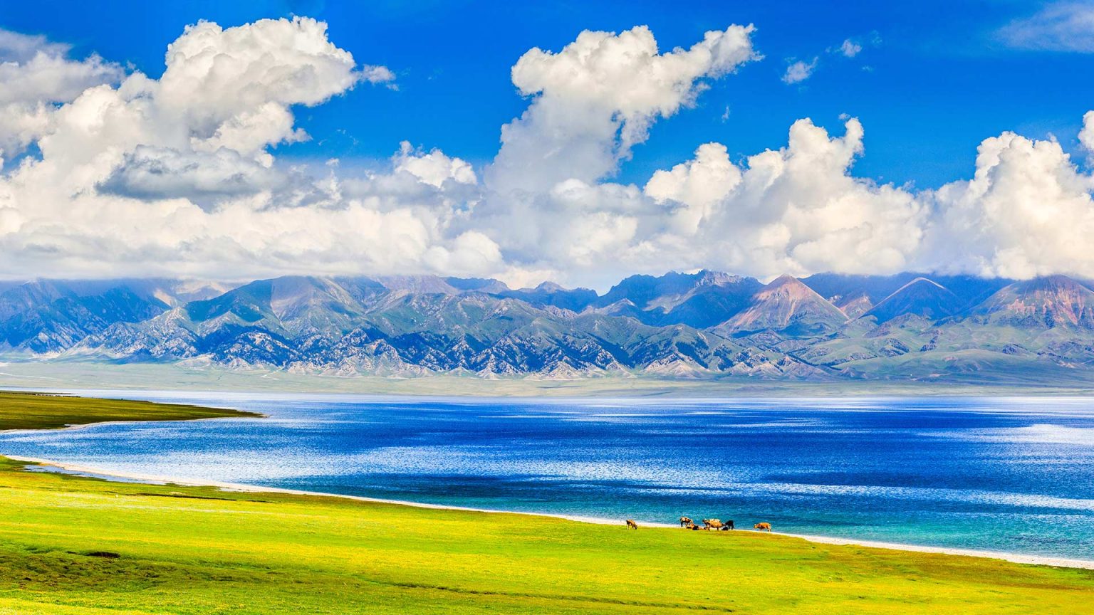 China – Bing Wallpaper Download