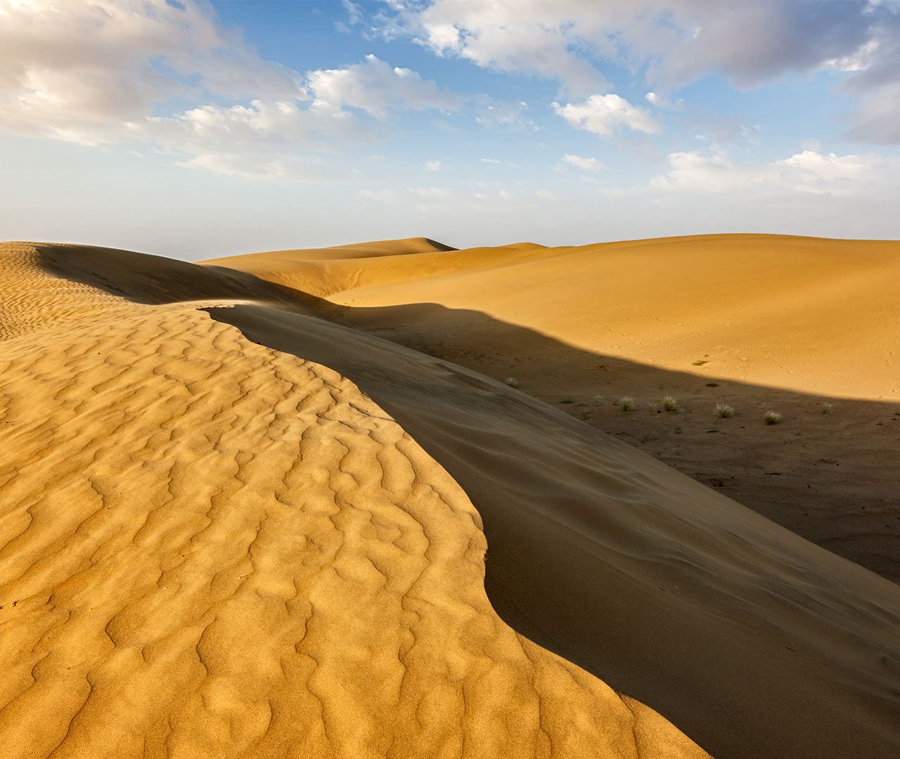 Rajasthan Sand Dunes 2025 – Bing Wallpaper Download
